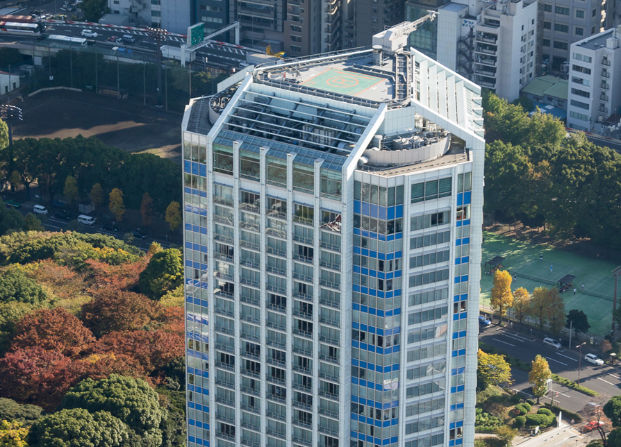 Prince Tower – Bhuwalka